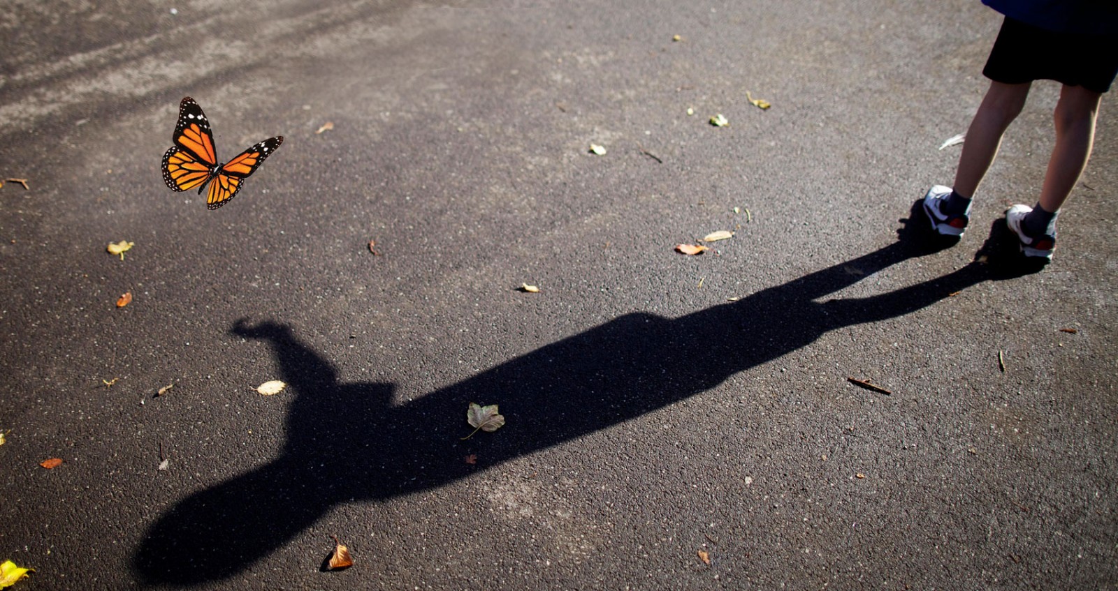 A Shadow Cast - haiku by Dragonsilk at Spillwords.com