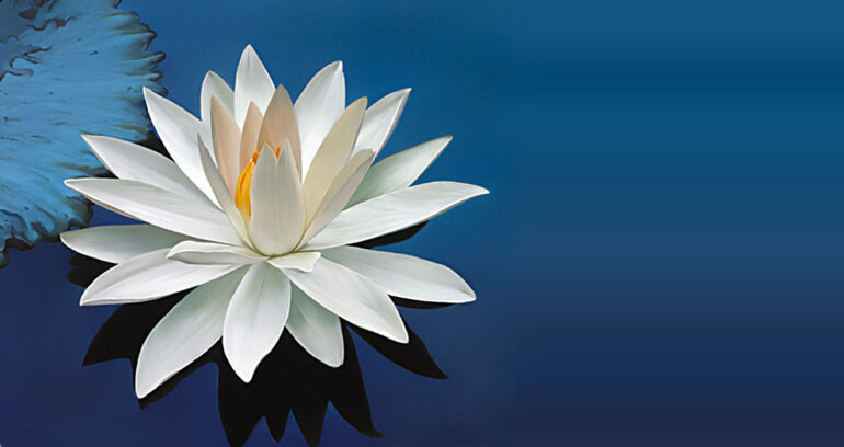 The Lotus-Flower by Roderic Quinn at Spillwords.com