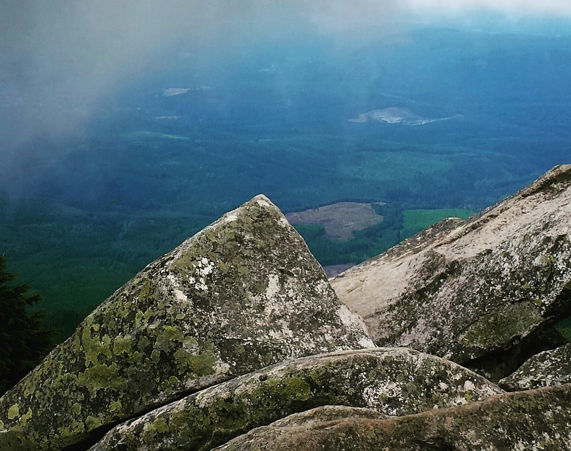 TFL Journey by Naima Mohamud Elmi at Spillwords.com