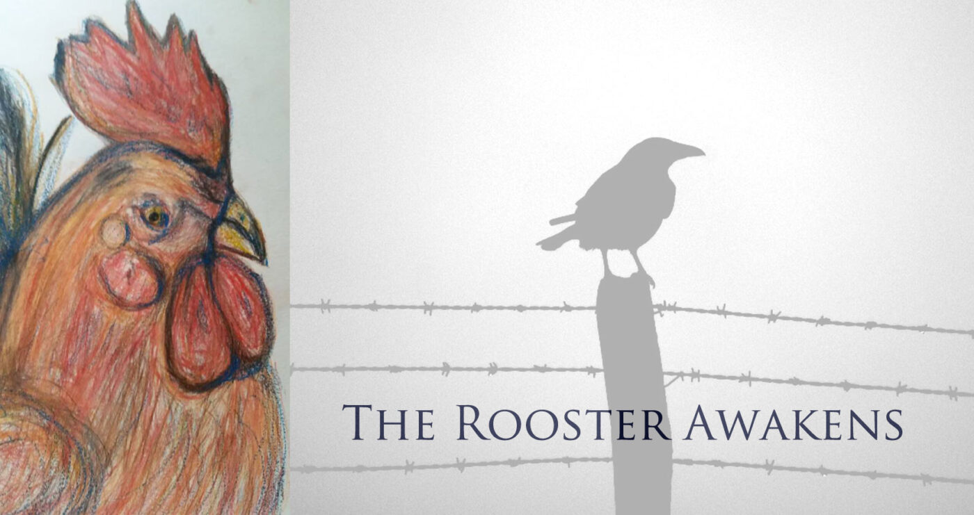 The Rooster Awakens by Mary Bone at Spillwords.com