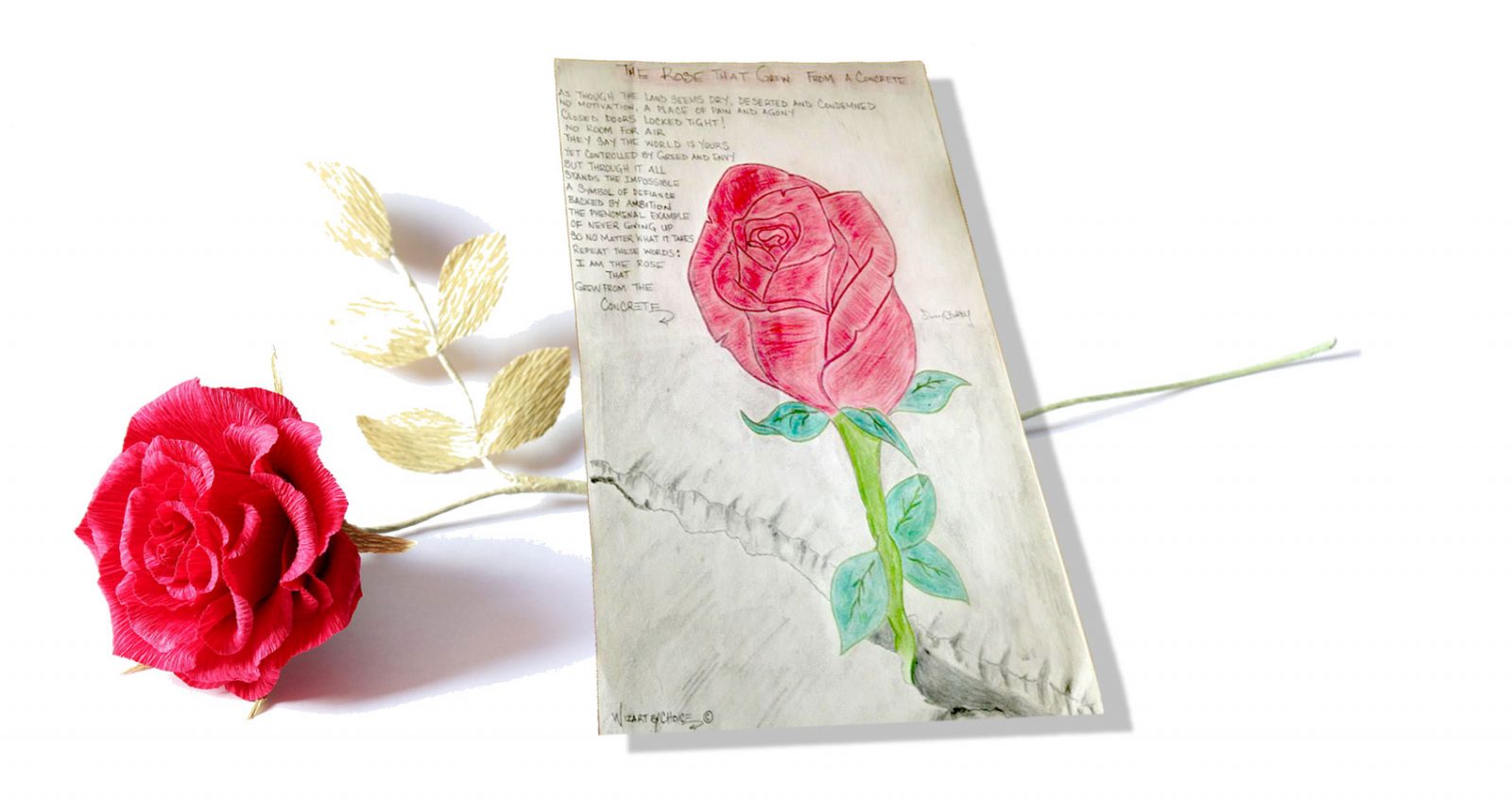 The Rose That Grew From Concrete at Spillwords.com