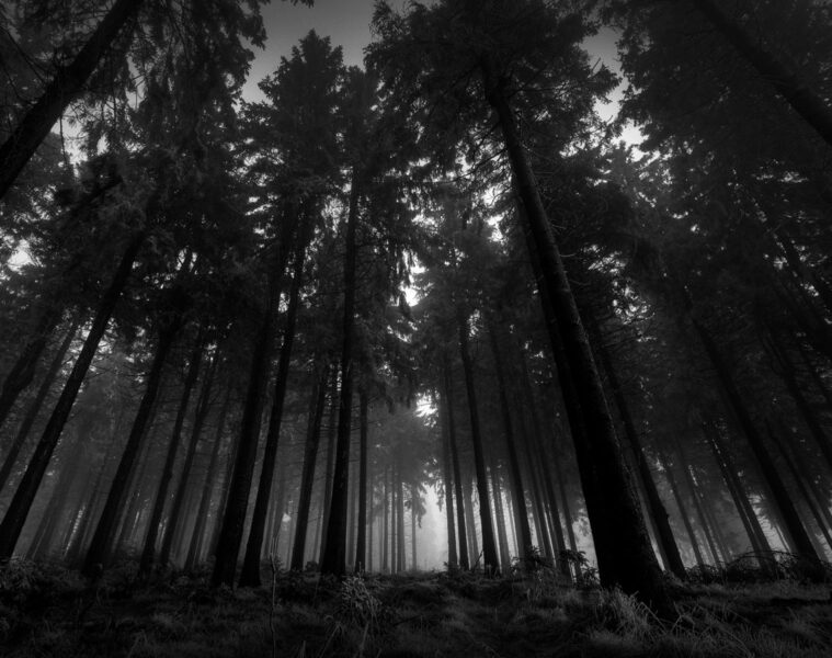 TFL Journey by Naima Mohamud Elmi at Spillwords.com