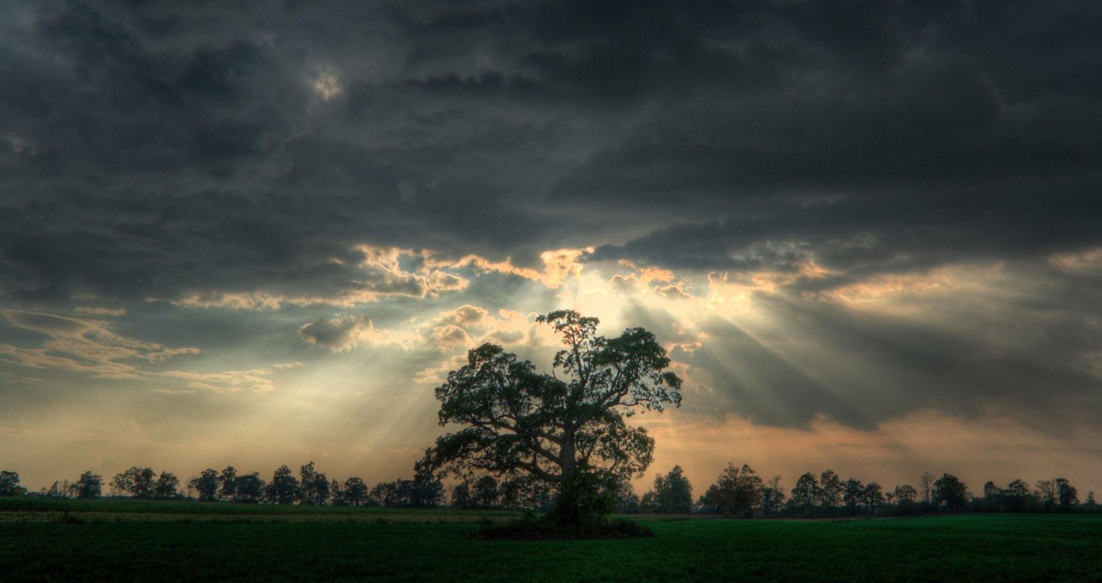 Peaceful Storm Within poetry at Spillwords.com