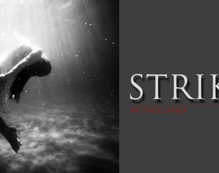 Best Meme written by Robyn MacKinnon at Spillwords.com