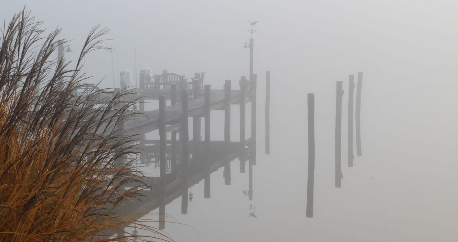 Fog written by Carl Sandburg at Spillwords.com