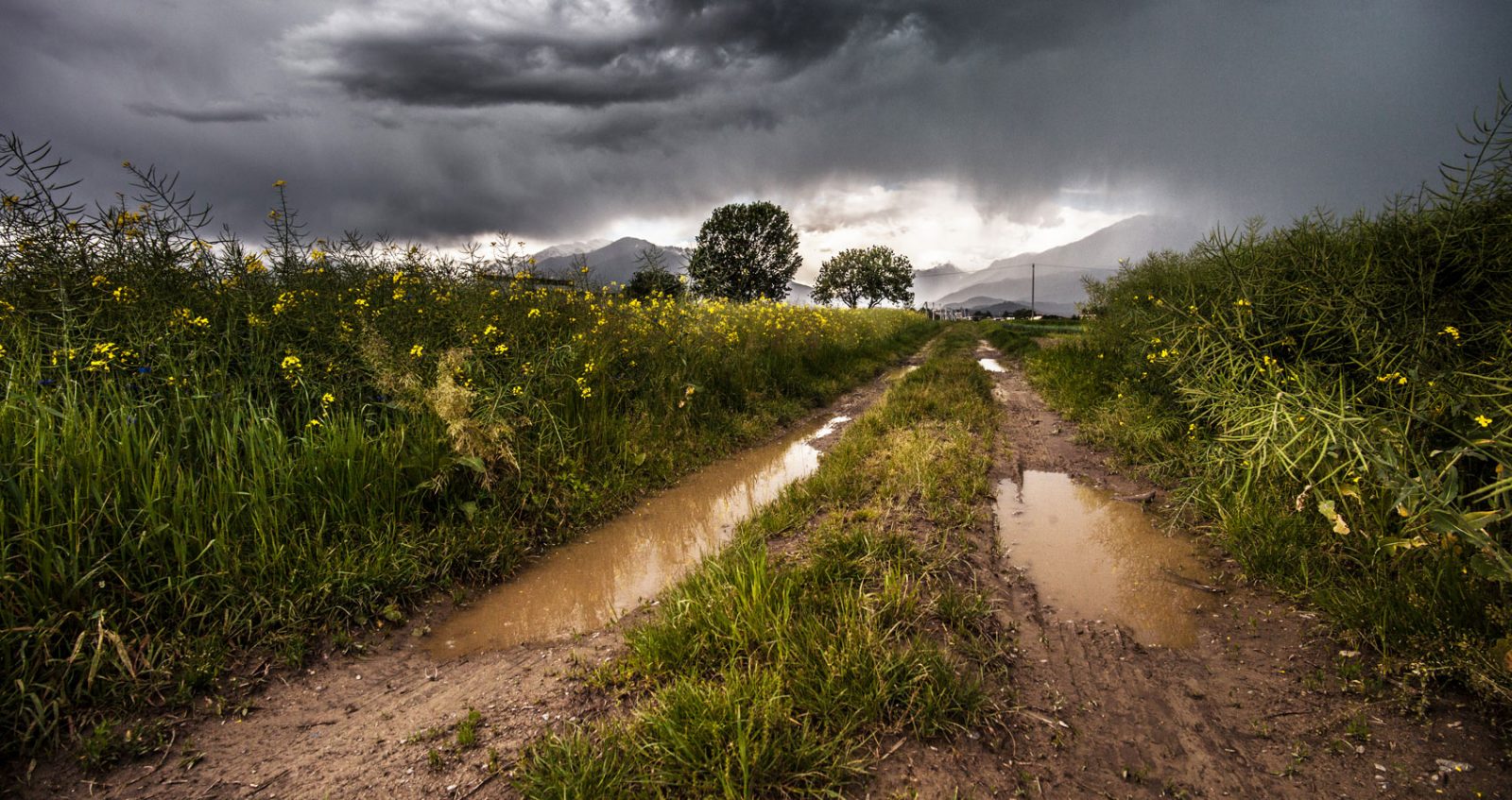 First rain of the season by onejollycouple at Spillwords.com