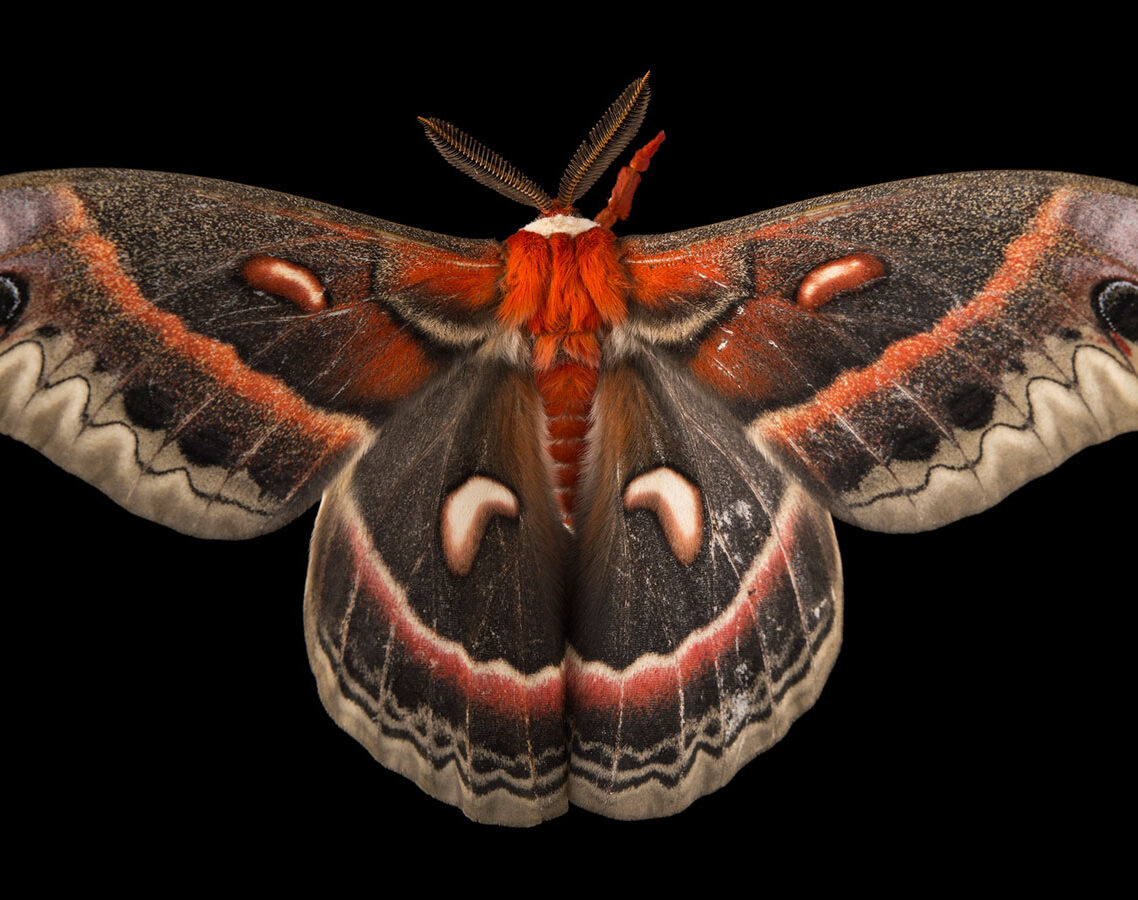 Bubbles written by Hemmingplay at Spillwords.com