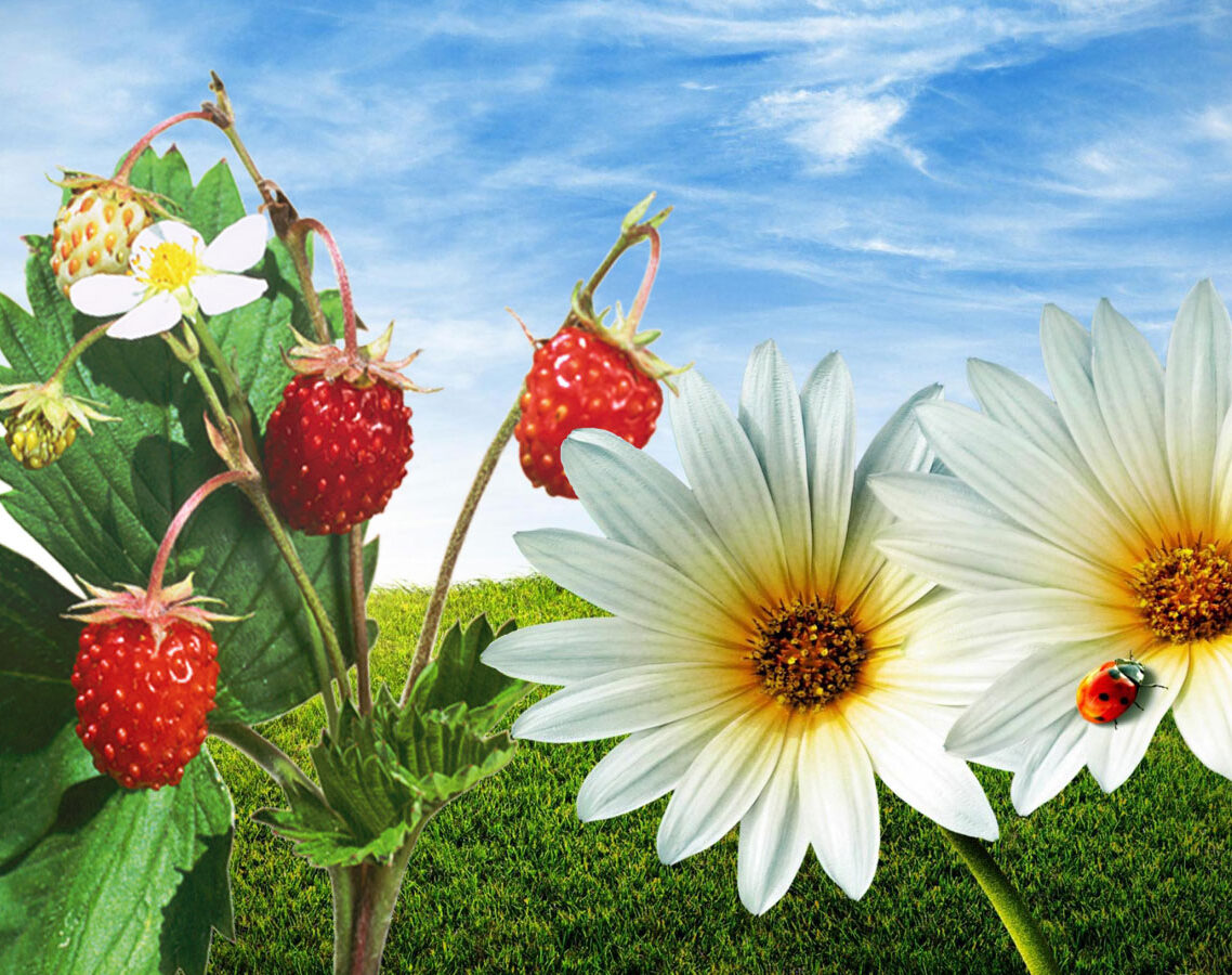 Know Your Worth by Naima Mohamud Elmi at Spillwords.com