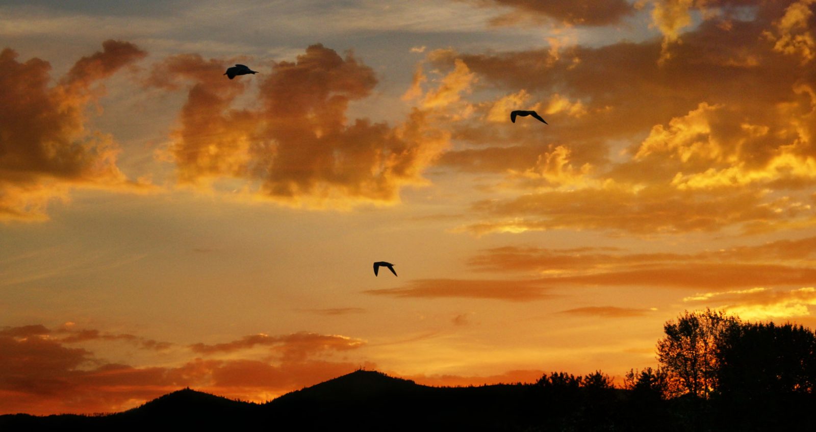 October Grave by Natalia Aeschliman at Spillwords.com