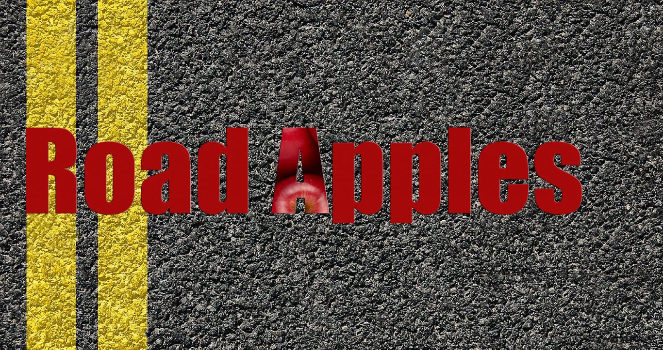 Road Apples written by Gavin Haycock at Spillwords.com