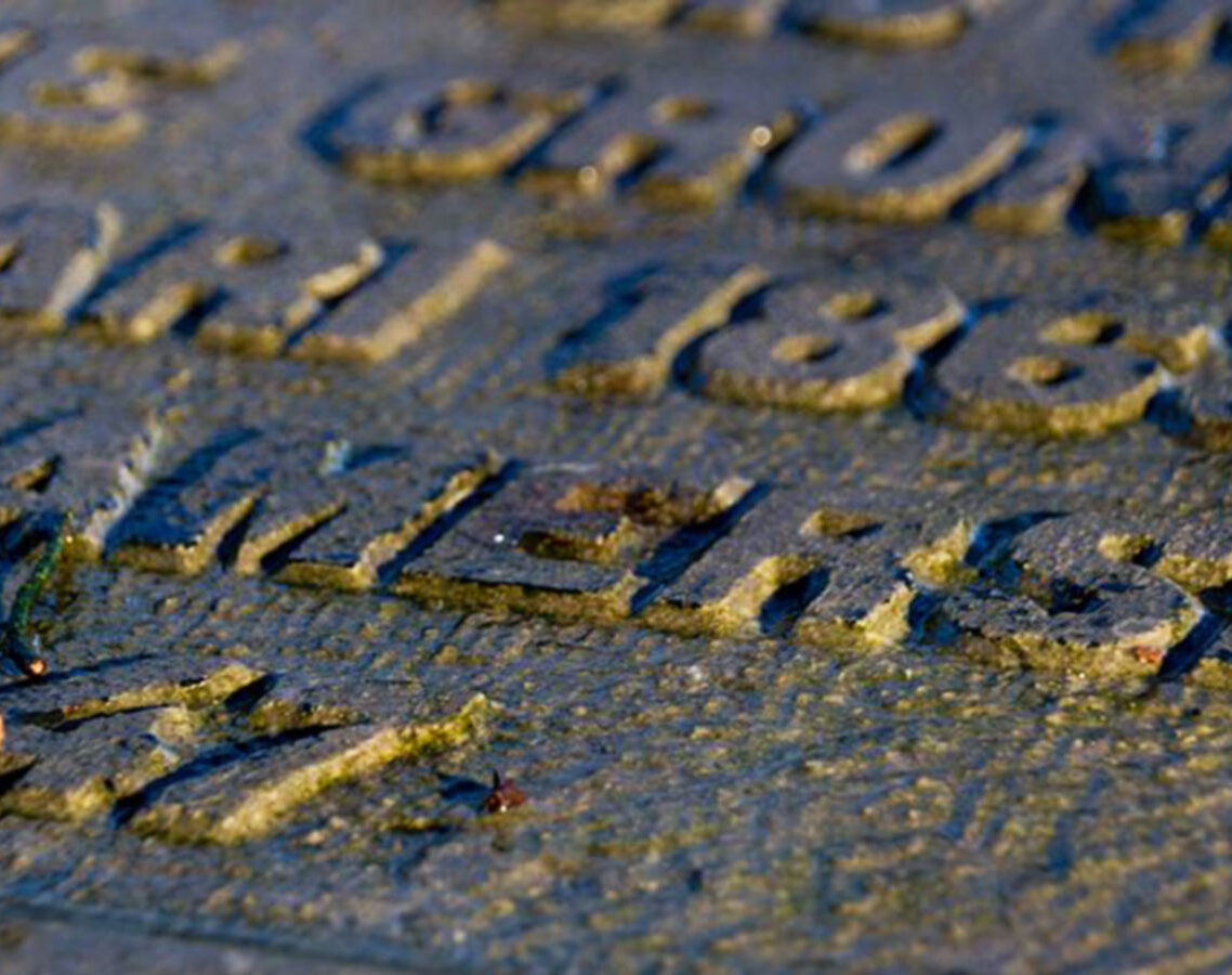 Europa Universalis - Spillwords