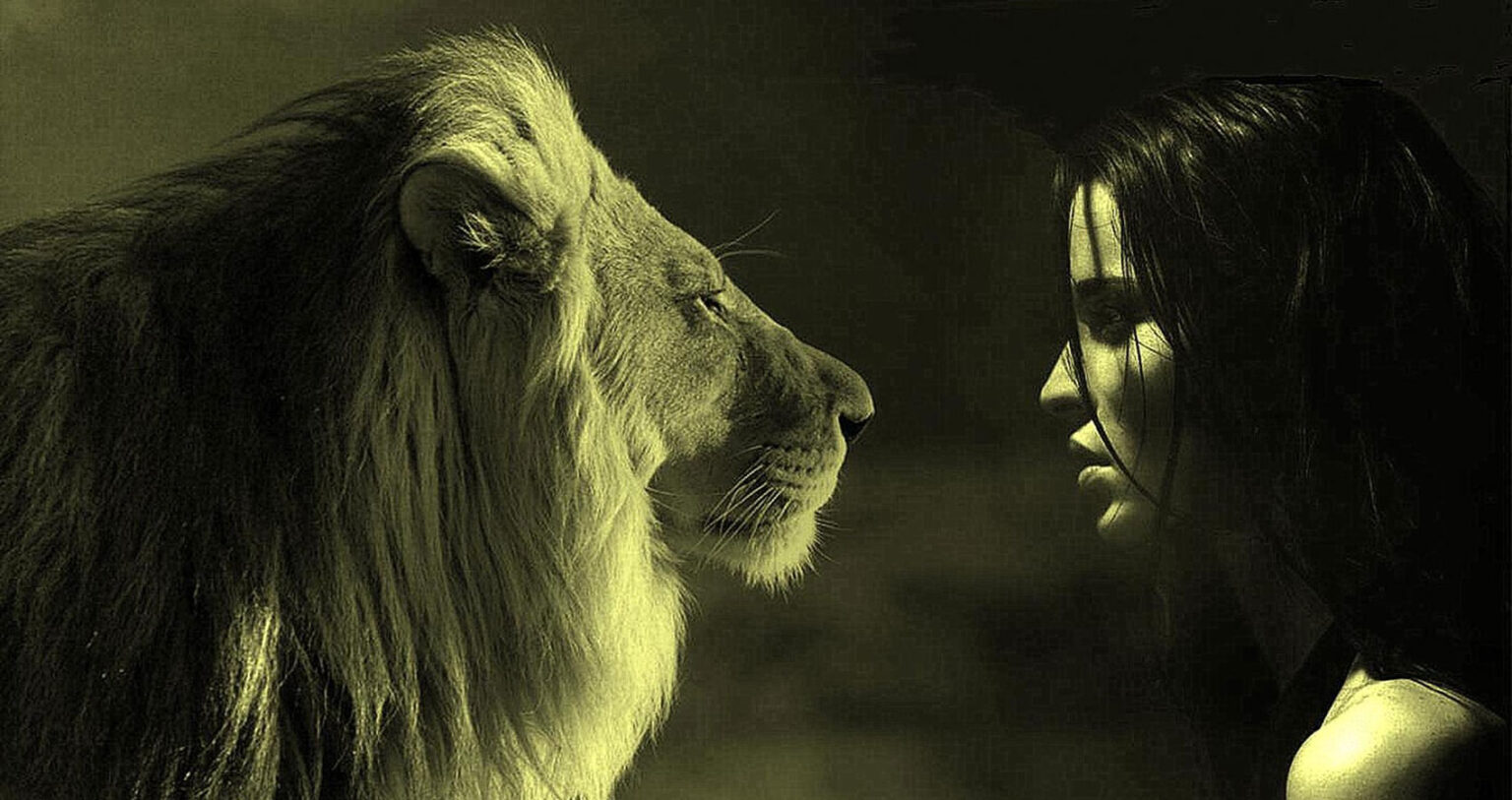 Lioness a poem written by Sarita Montiel at Spillwords.com