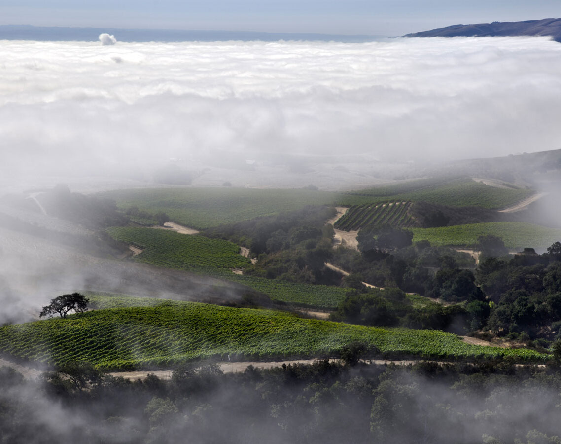 Not Just Any Man, a poem written by Laura Hughes at Spillwords.com