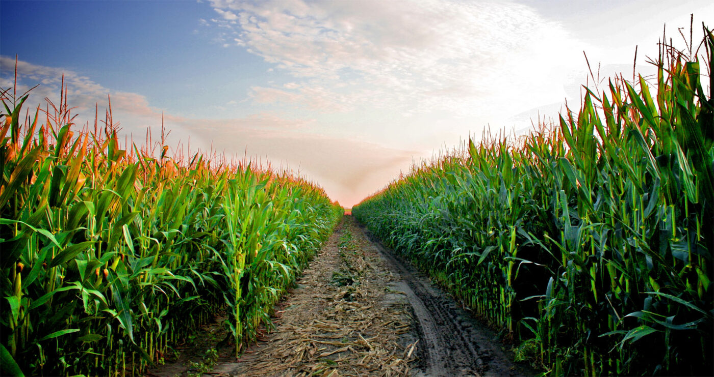 Dirge, a poem by Ralph Waldo Emerson at Spillwords.com