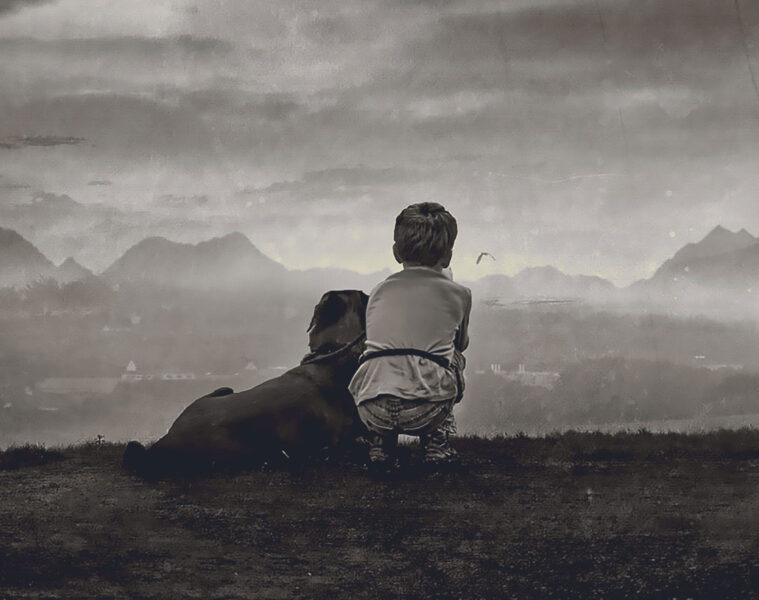 I Need of Boxes by Robyn MacKinnon at Spillwords.com