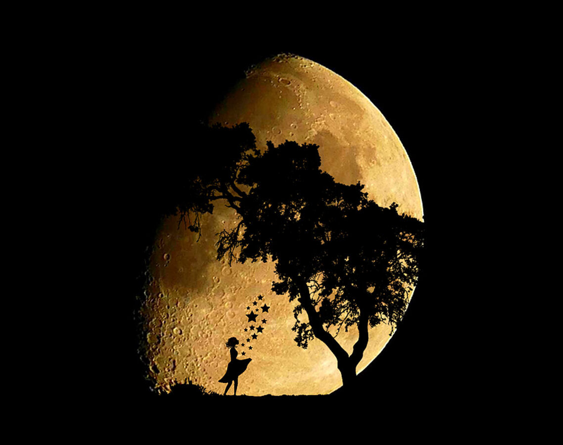 Not Now, poetry written by Debbie Hewson at Spillwords.com