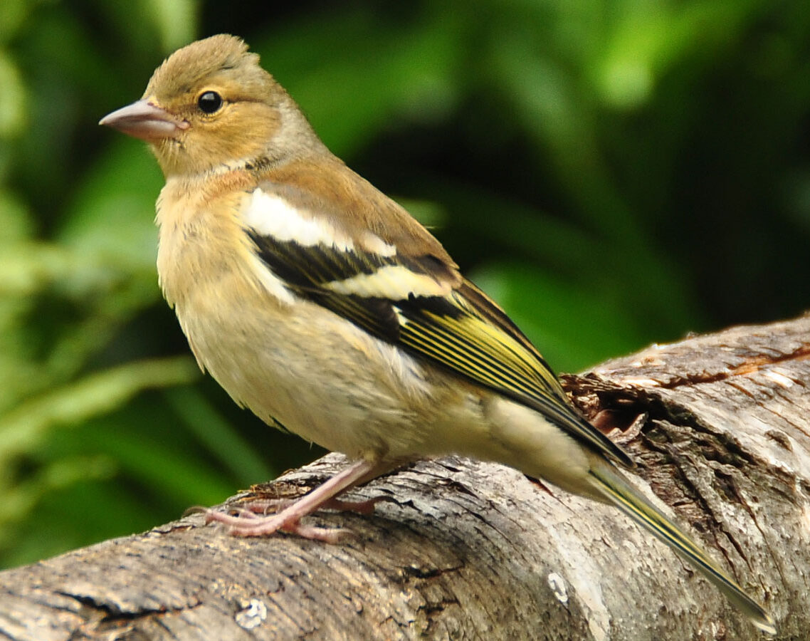 Twisted And Churning at Spillwords.com