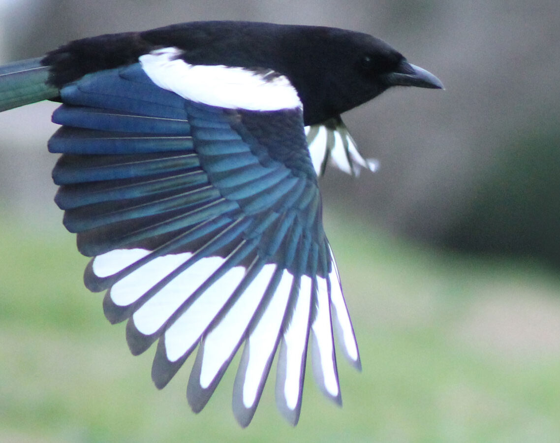 Young, a poem written by Antony King at Spillwords.com