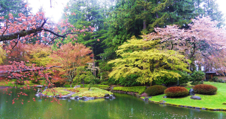 Spring's Moments Of Zen by Charlie Bottle at Spillwords.com