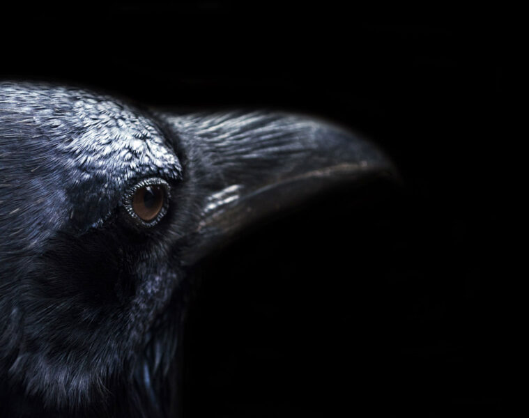 OURS written by Alyssa Brocker at Spillwords.com