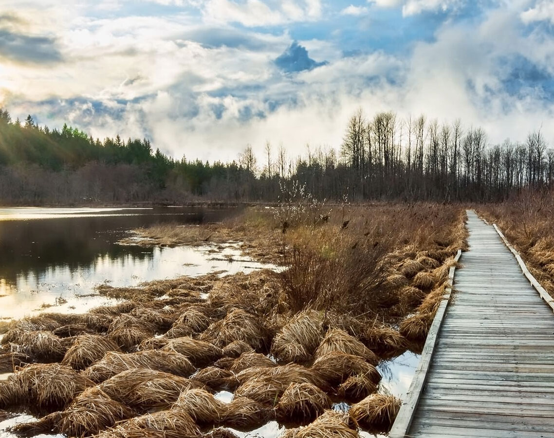 Along With Youth, a poem by Ernest M. Hemingway at Spillwords.com