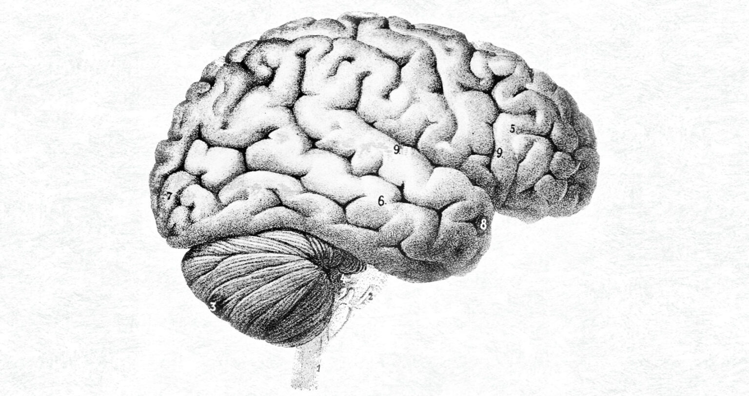 Myth of Mind ... Constructing the Mind at Spillwords.com