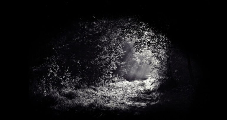 Acceptance written by Darrin Reay at Spillwords.com