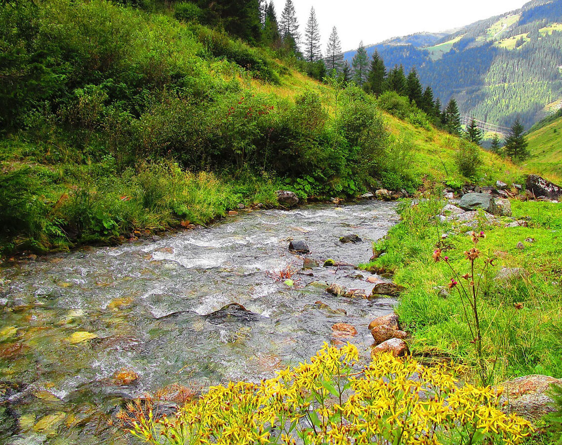 Funeral Pyre written by Michael Shea at Spillwords.com