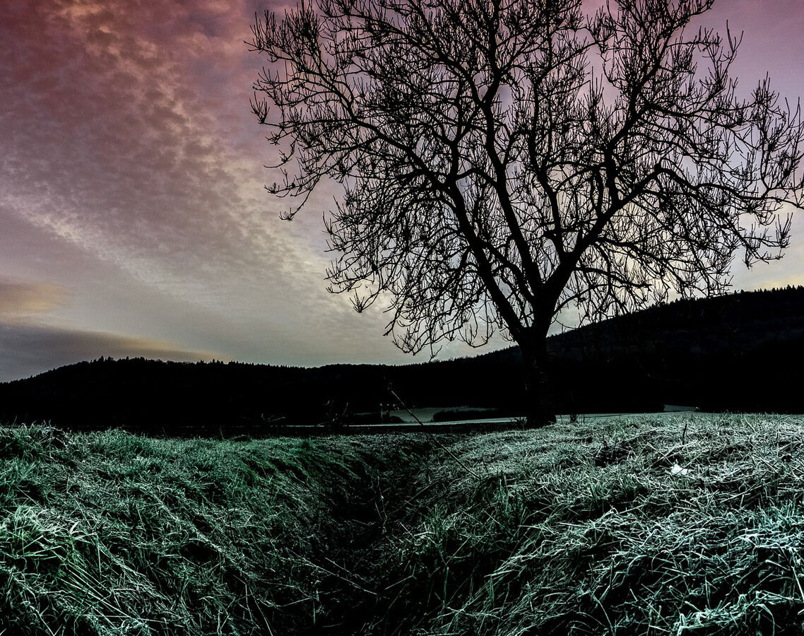 Last Christmas written by Moinak Dutta at Spillwords.com