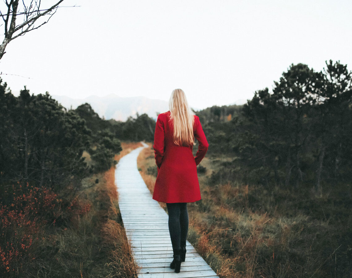 The Little Black Cat, by Robyn MacKinnon at Spillwords.com