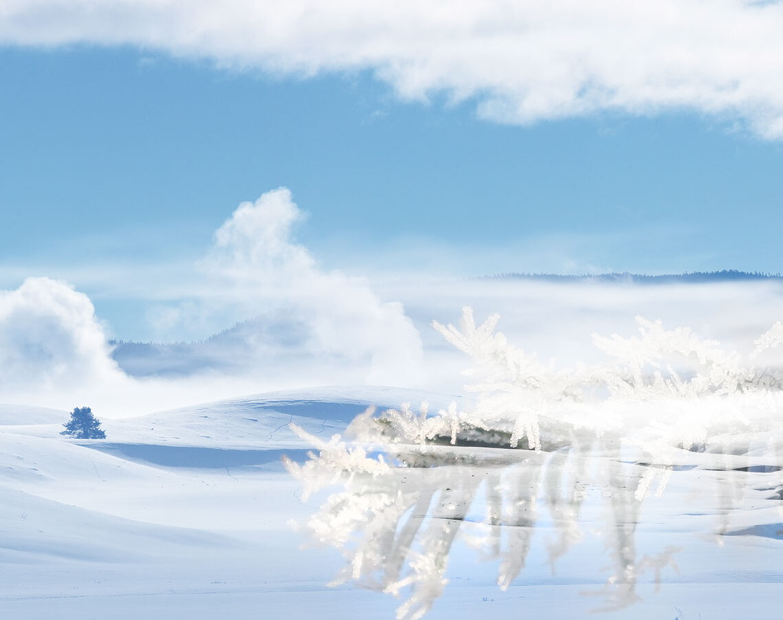 2021, a haiku by Robyn MacKinnon at Spillwords.com