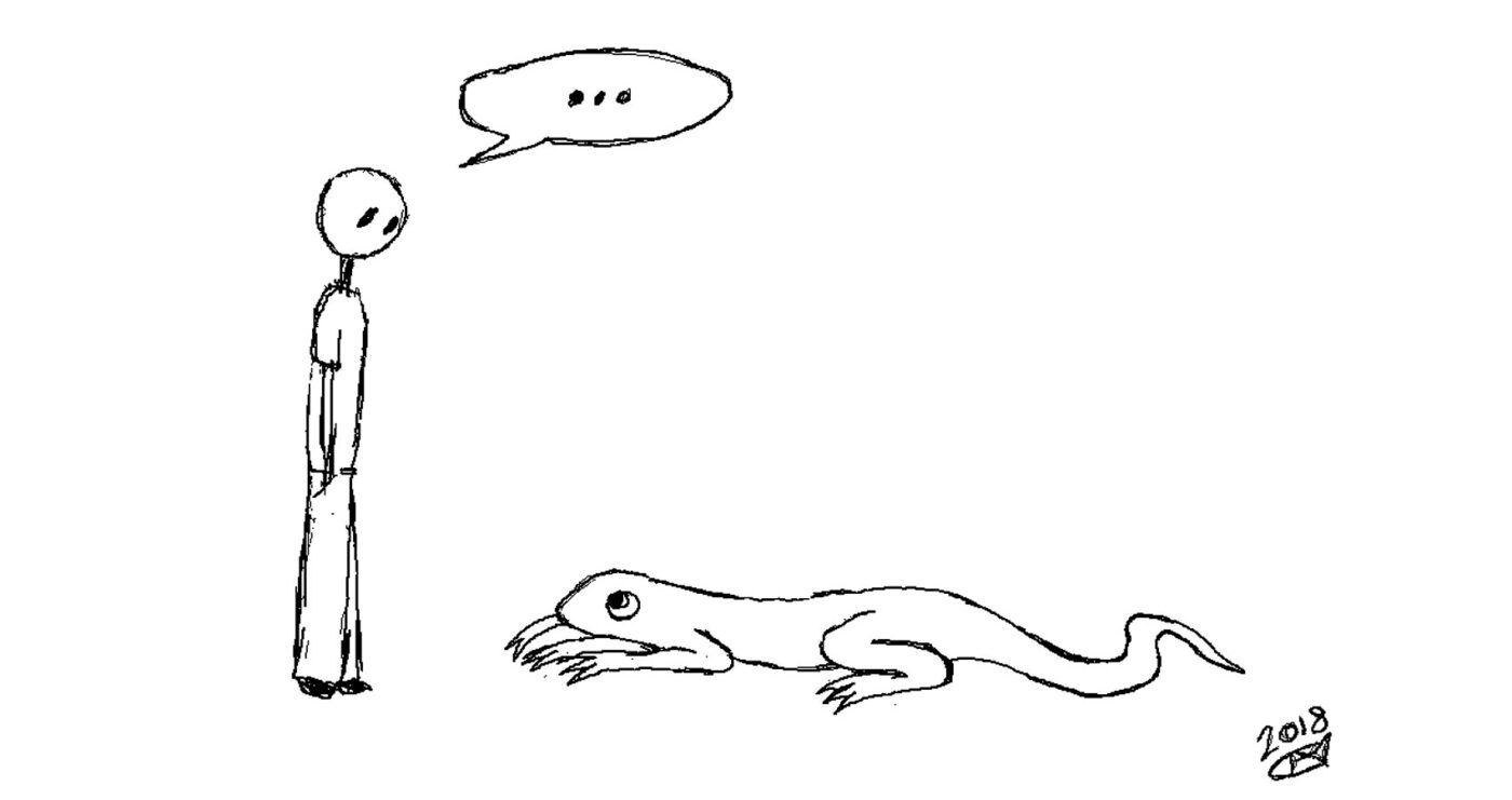 I Am A Lizard written by Robyn MacKinnon at Spillwords.com