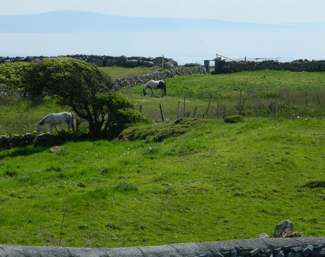 Life Game by Grace Zwane at Spillwords.com