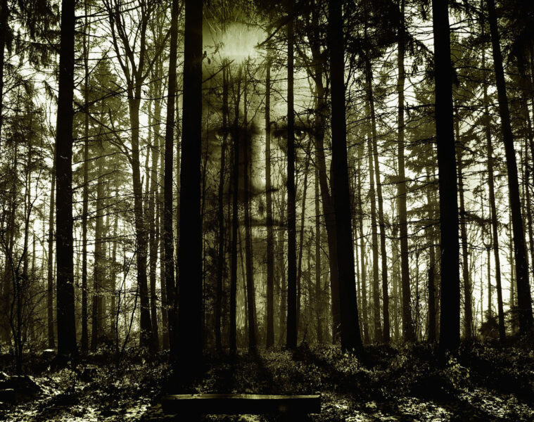 The Air Is Not Empty by Evelyn at Spillwords.com