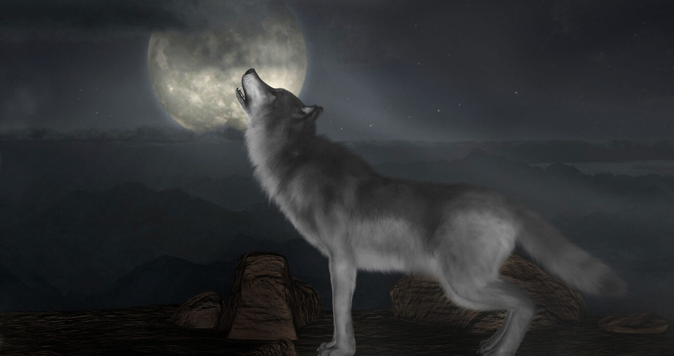 CANTO DEL LUPO SOLITARIO at Spillwords.com