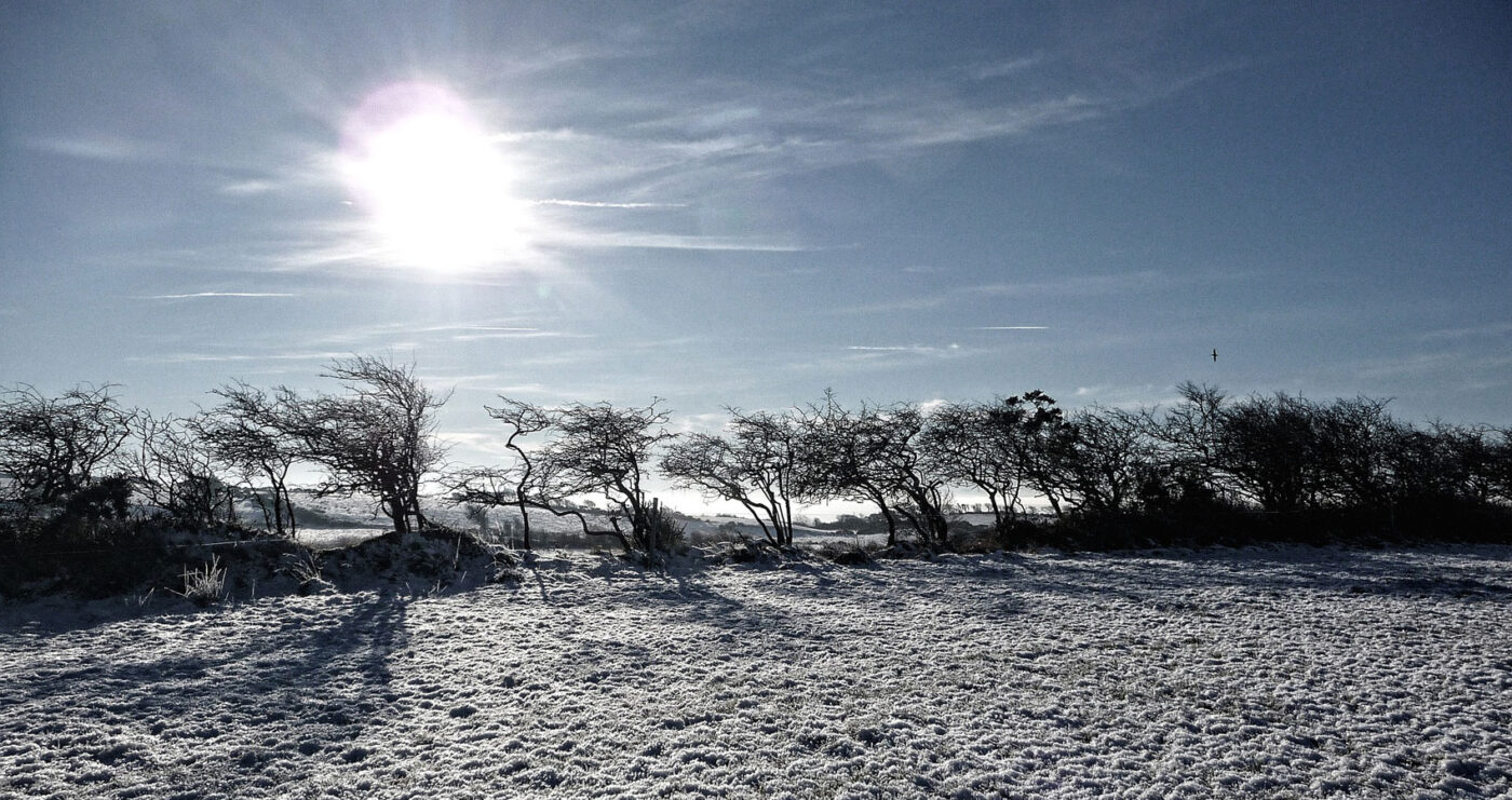 Dying Of The Winter Light by Eoghan Lyng at Spillwords.com