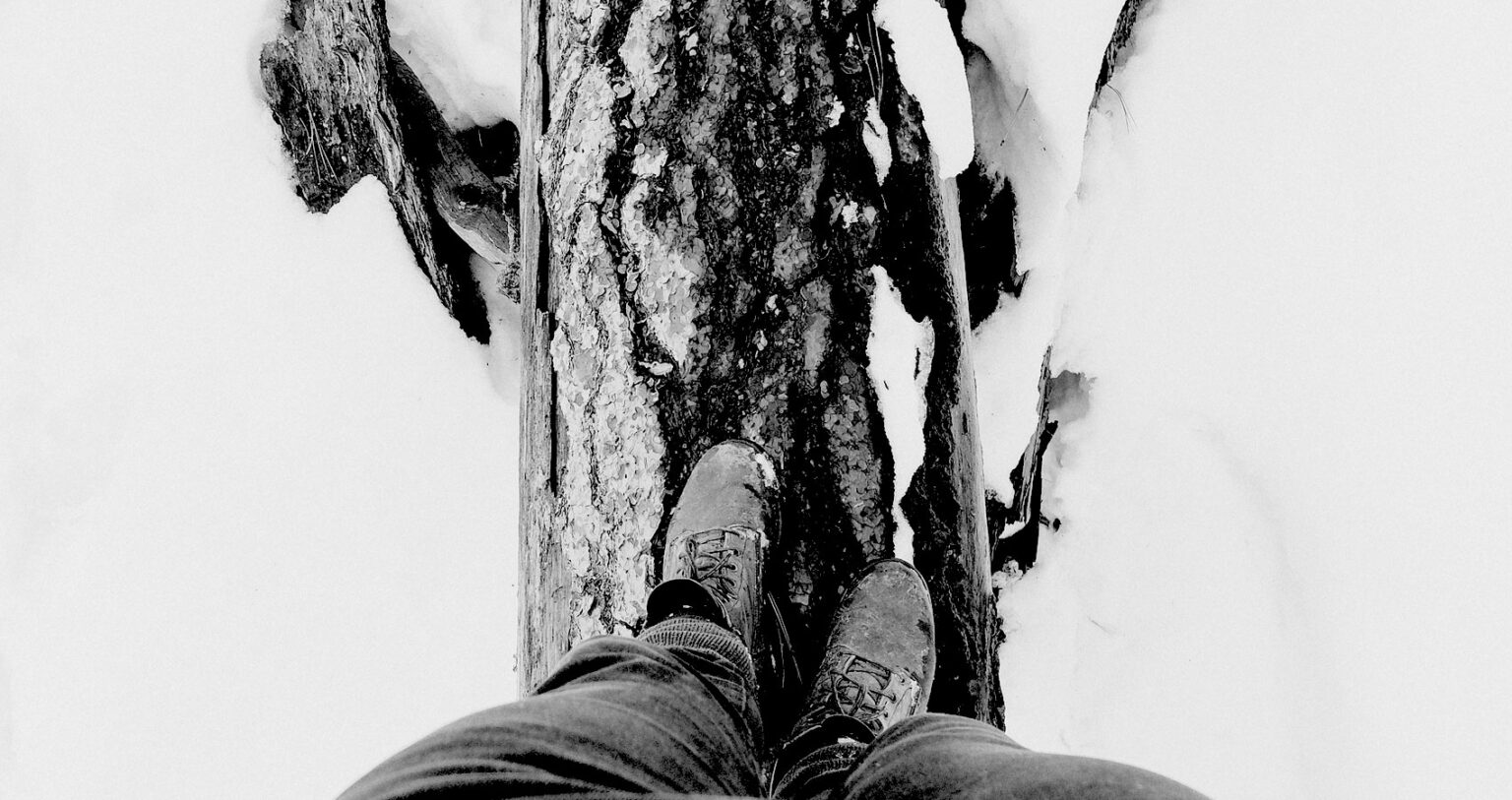 Survival III written by Jacob Damstra at Spillwords.com