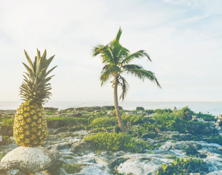 Momento written by Edward Mind at Spillwords.com