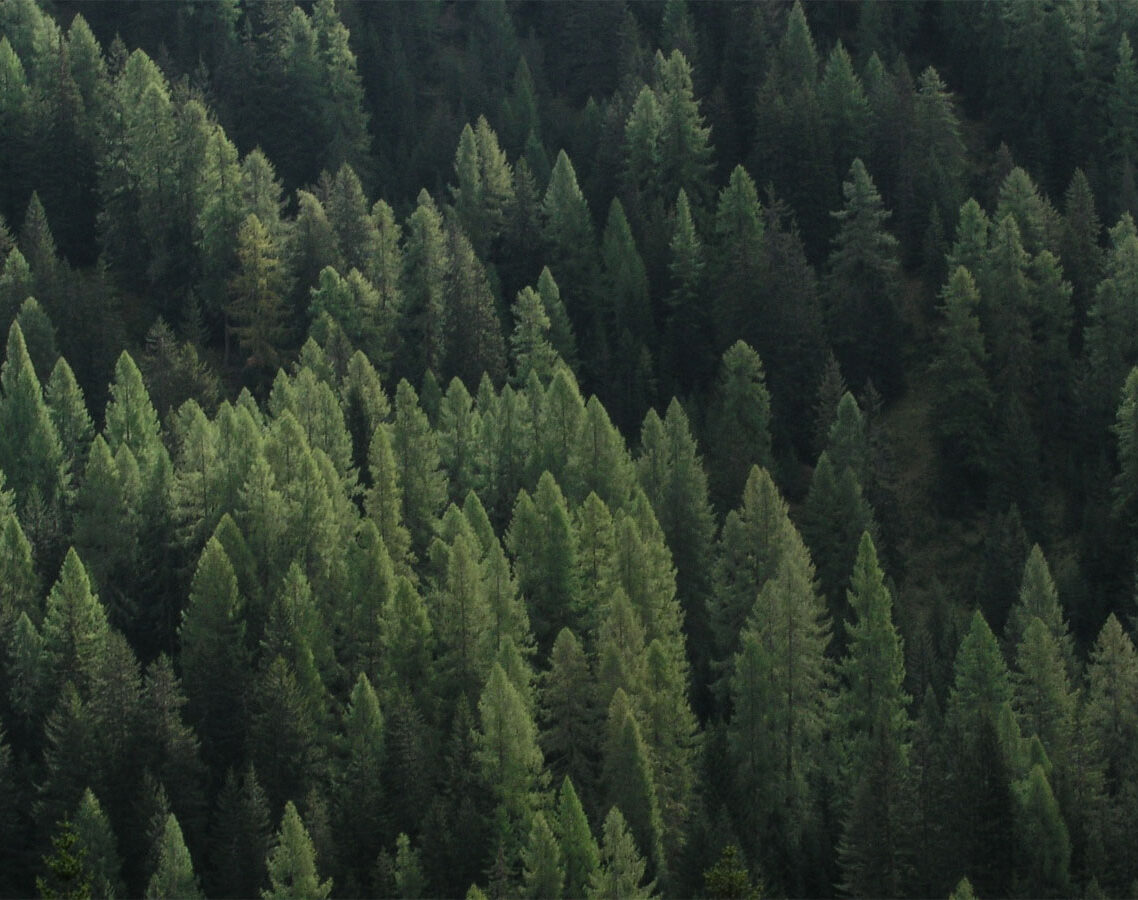 One Inch Tall by Shel Silverstein at Spillwords.com