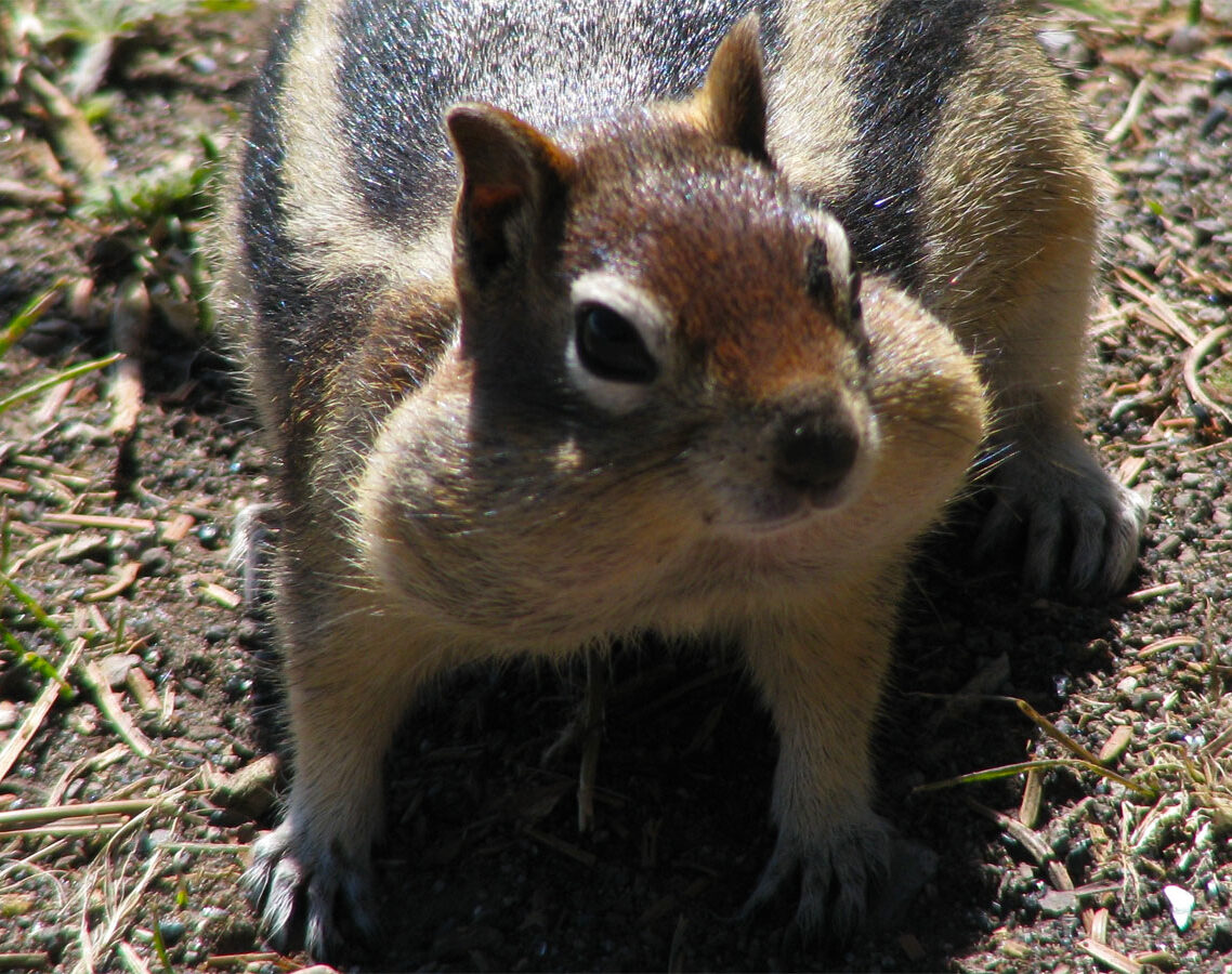 Hard to Keep by Gray Skies at Spillwords.com