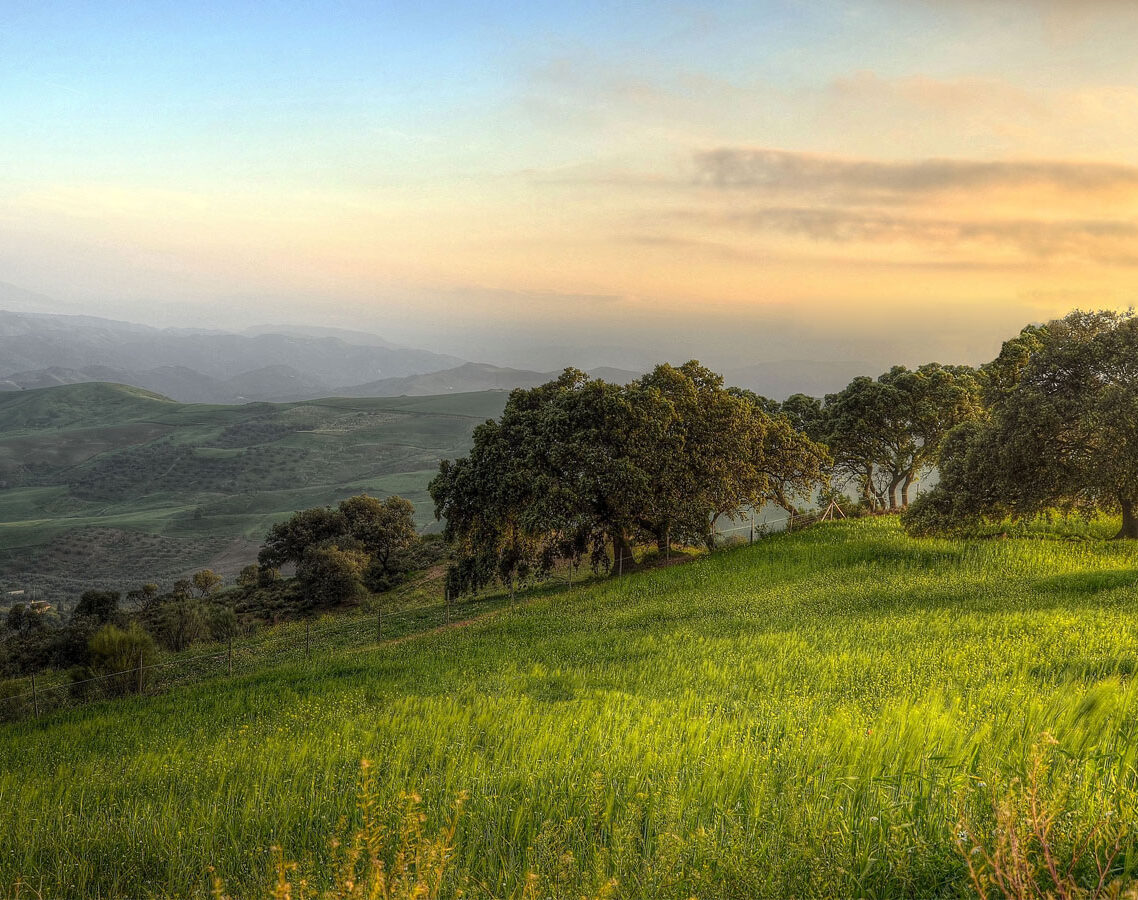 Benediction Temporalis (Temporal Blessing), poem at Spillwords.com