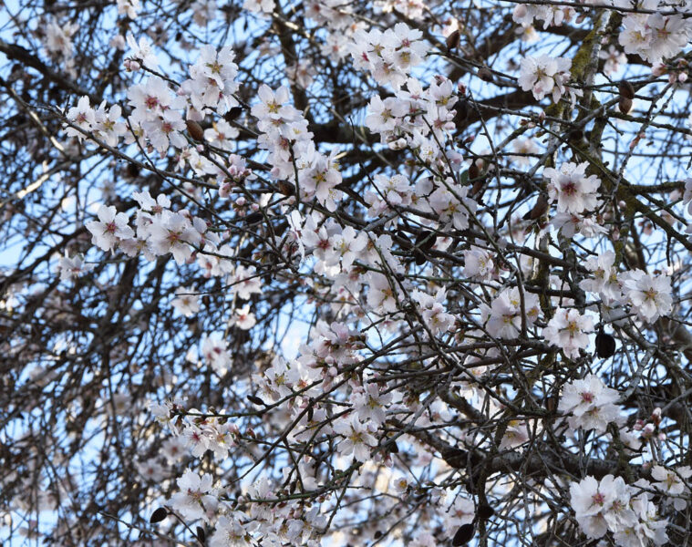 El Destino Murmura by Jose A. Tovar at Spillwords.com