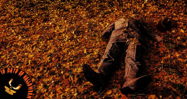 Scarecrow Has Fallen written by TM Arko at Spillwords.com