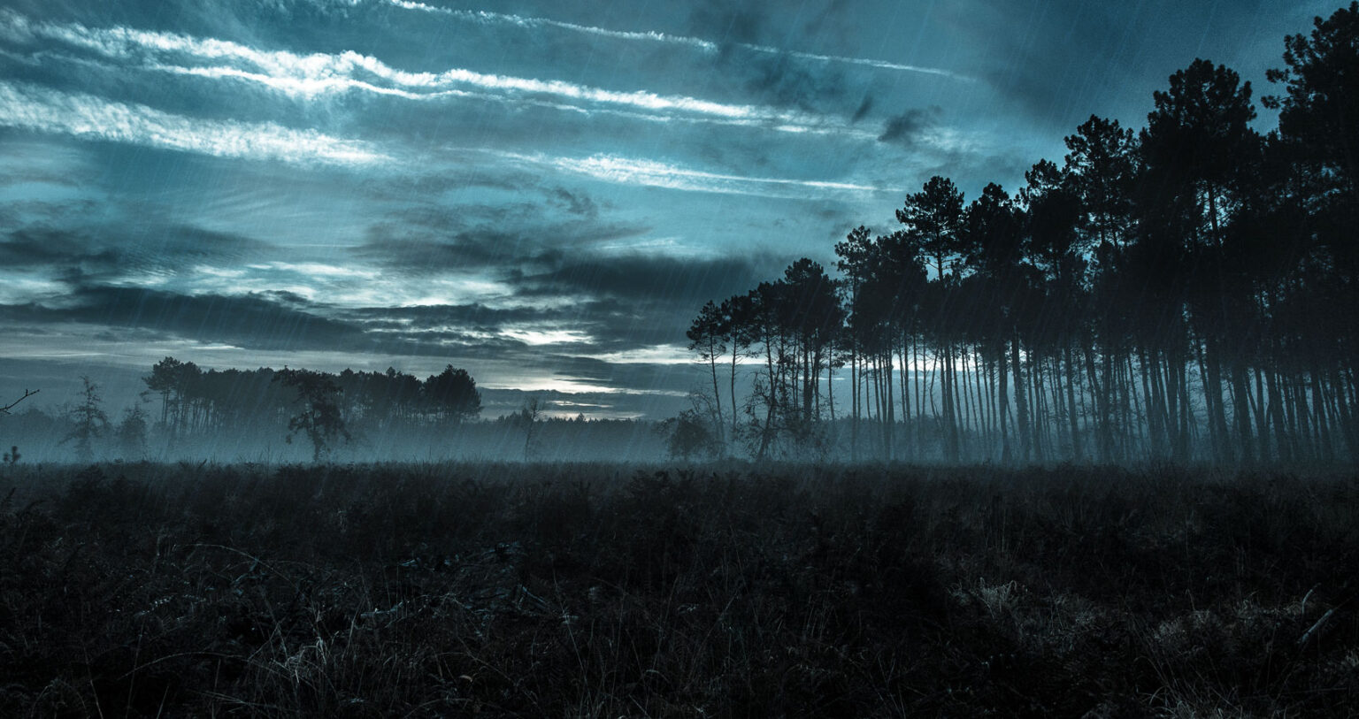 Restless Wind by Ann Christine Tabaka at Spillwords.com