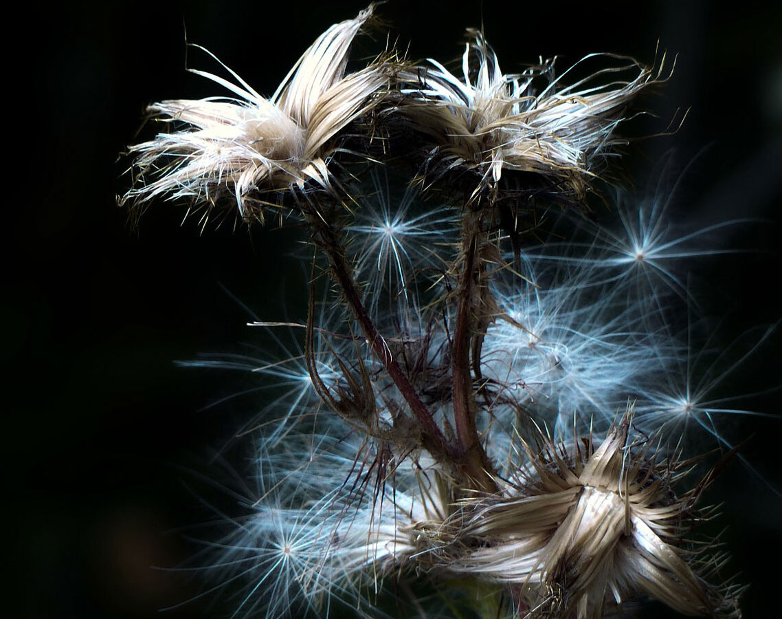 Maths written by Garima Mahajan at Spillwords.com