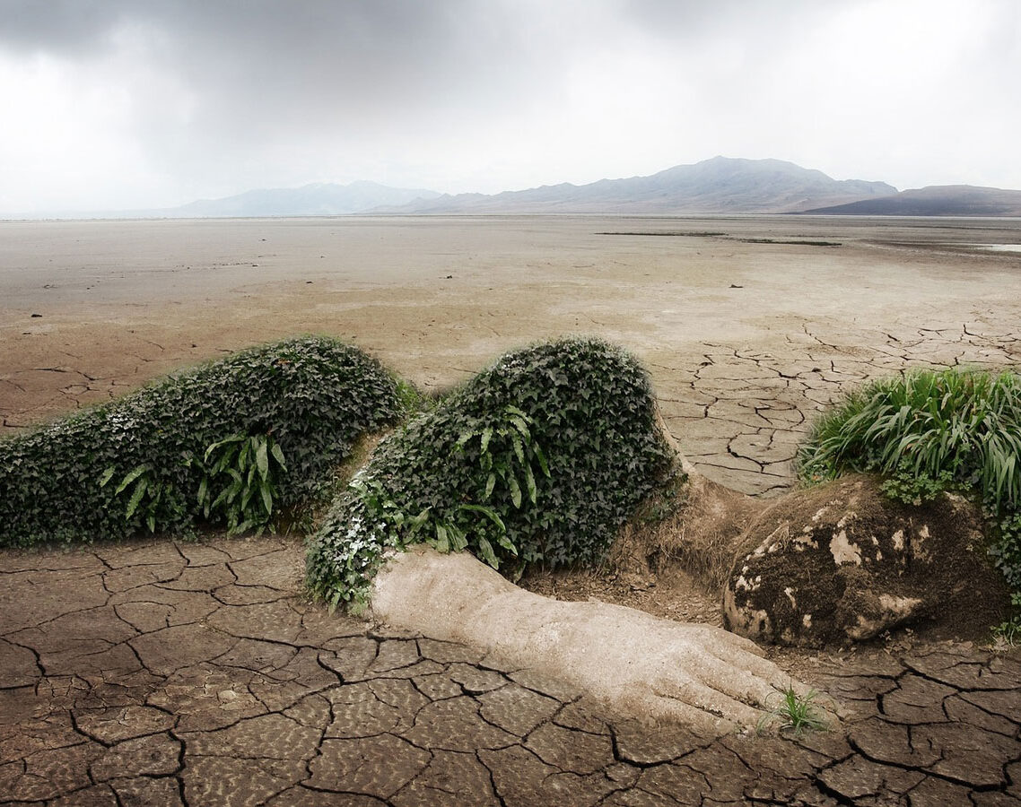 One Inch Tall by Shel Silverstein at Spillwords.com