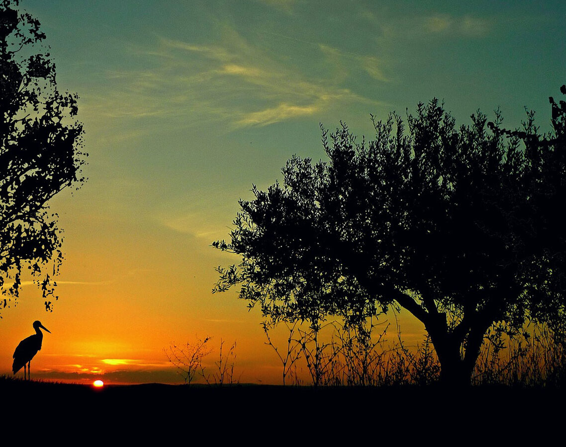 Caught Up On The Comics by Robyn MacKinnon at Spillwords.com