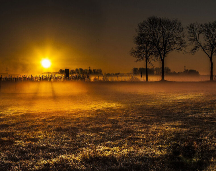 Funeral Pyre written by Michael Shea at Spillwords.com