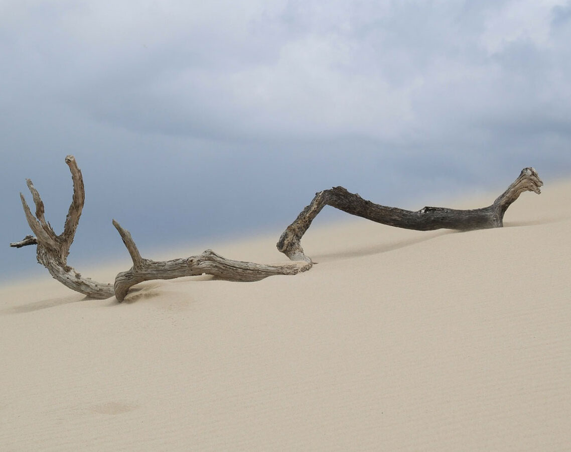 Tantric Moon written by Arusha Topazzini at Spillwords.com