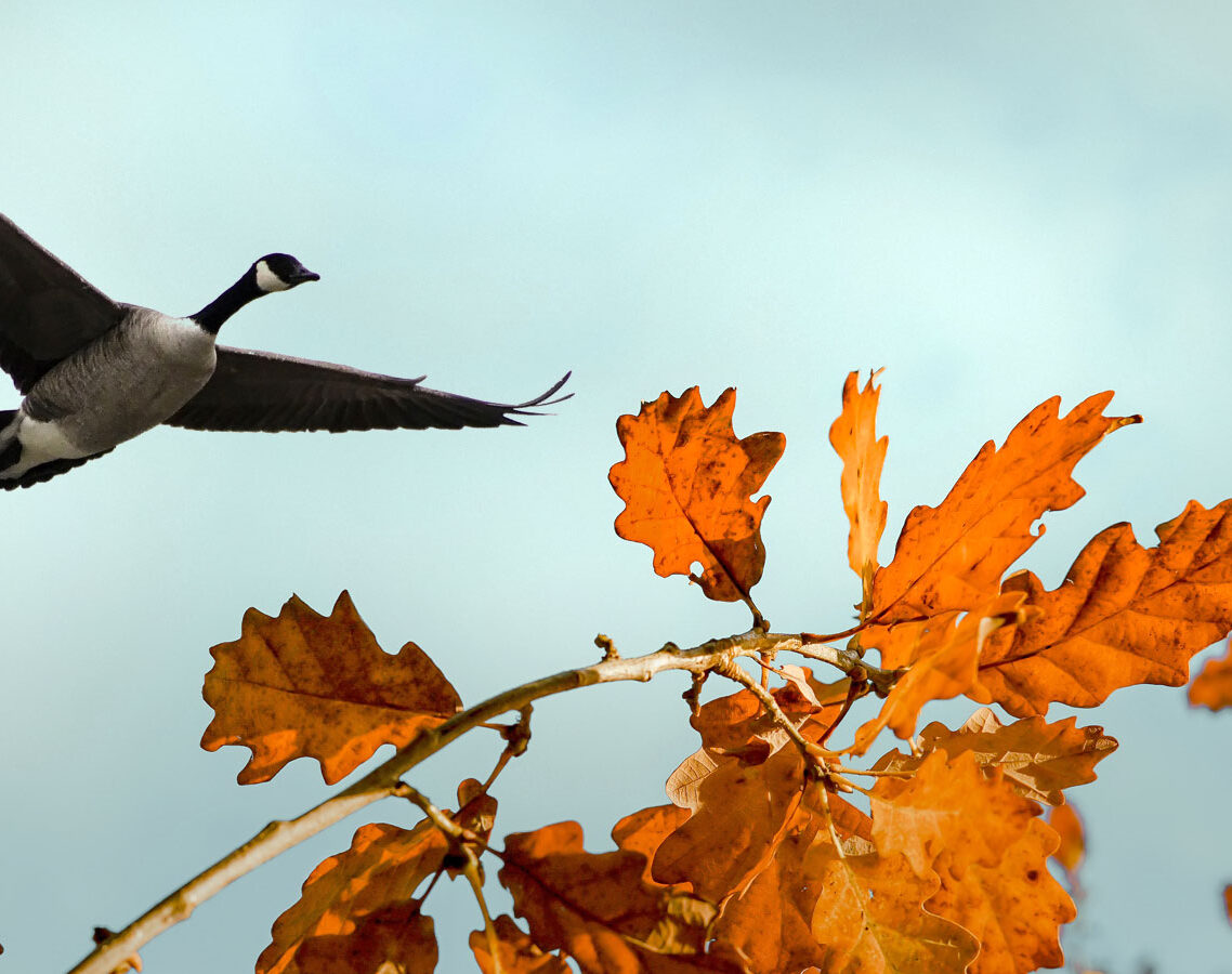 Rain After Drought poem at Spillwords.com